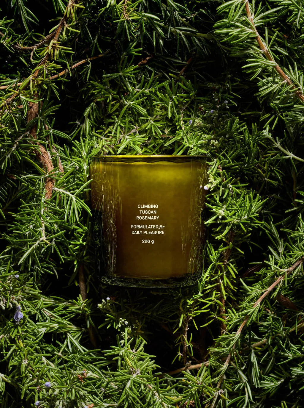 Climbing Tuscan Rosemary Candle – High Camp Wines